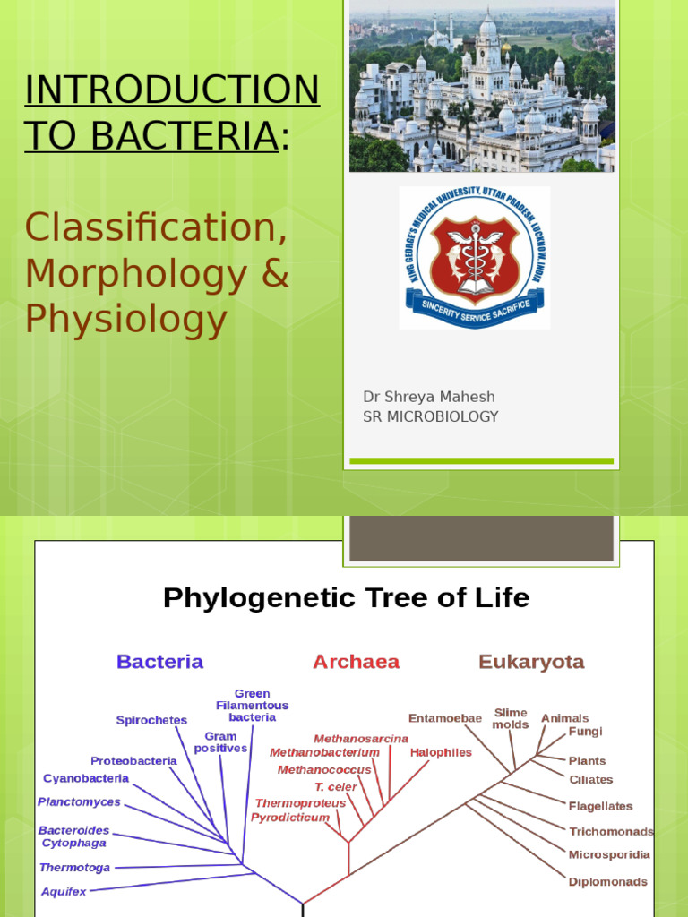 Introduction To Bacteria | PDF | Bacteria | Gram Positive Bacteria