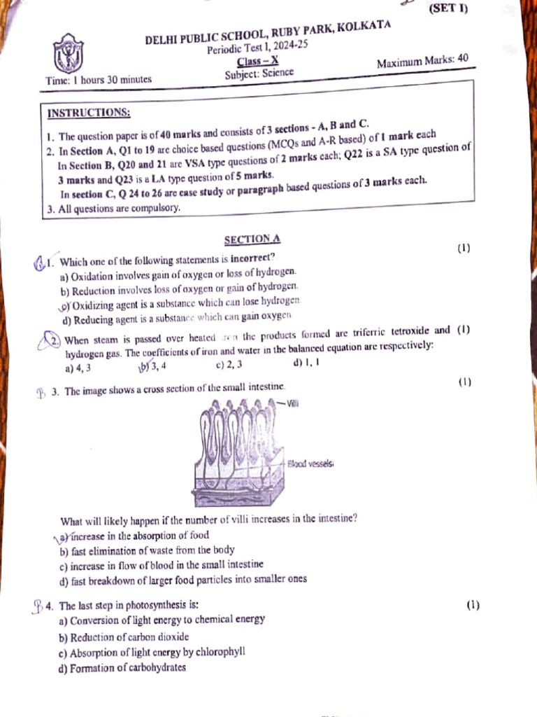 Science DPS PT1 | PDF