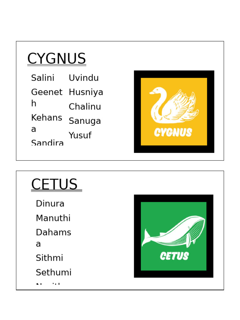 Cygnus & Cetus | PDF