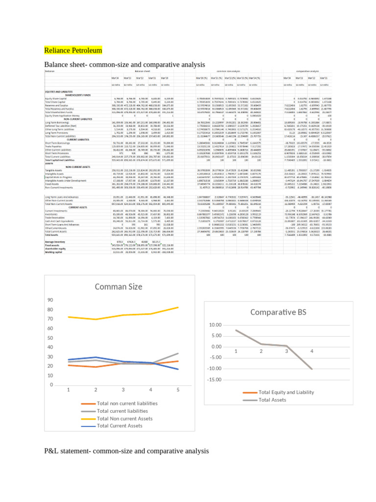 Reliance Petroleum-FAPC Major | PDF | Revenue | Equity (Finance)