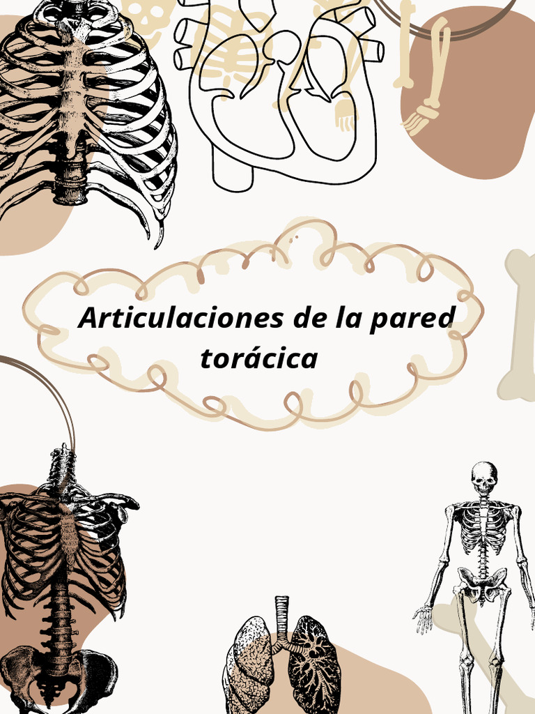 Articulaciones de La Pared Toracica | PDF