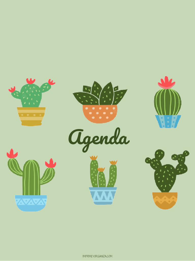 Agenda Cactus | PDF