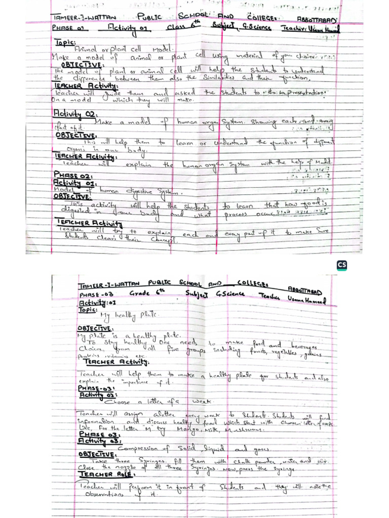 Activity Plan Grade 6th-1 | PDF