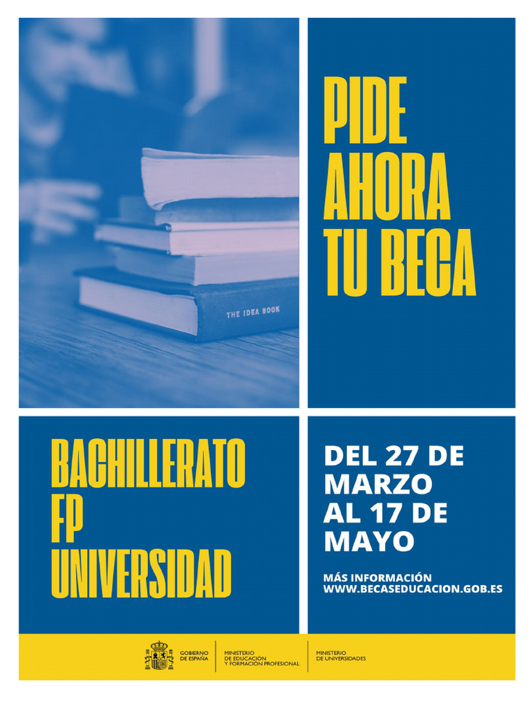 BECAS | PDF