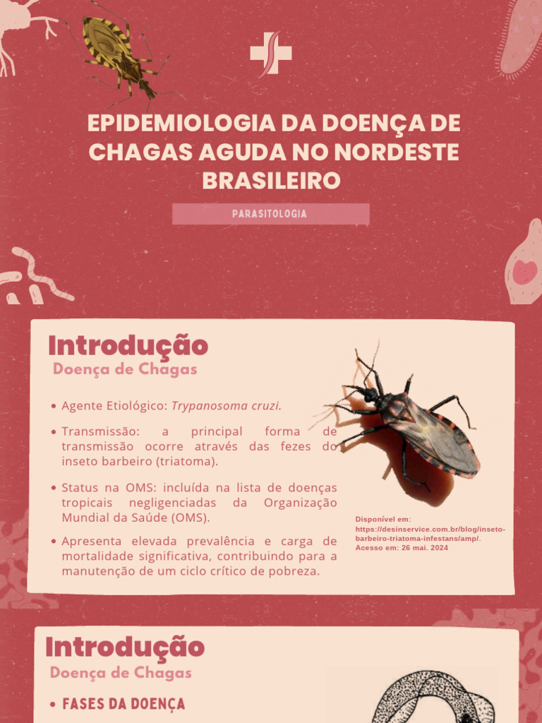 Cópia de Epidemiologia de DCA No Nordeste Brasileiro - 20241113 ...
