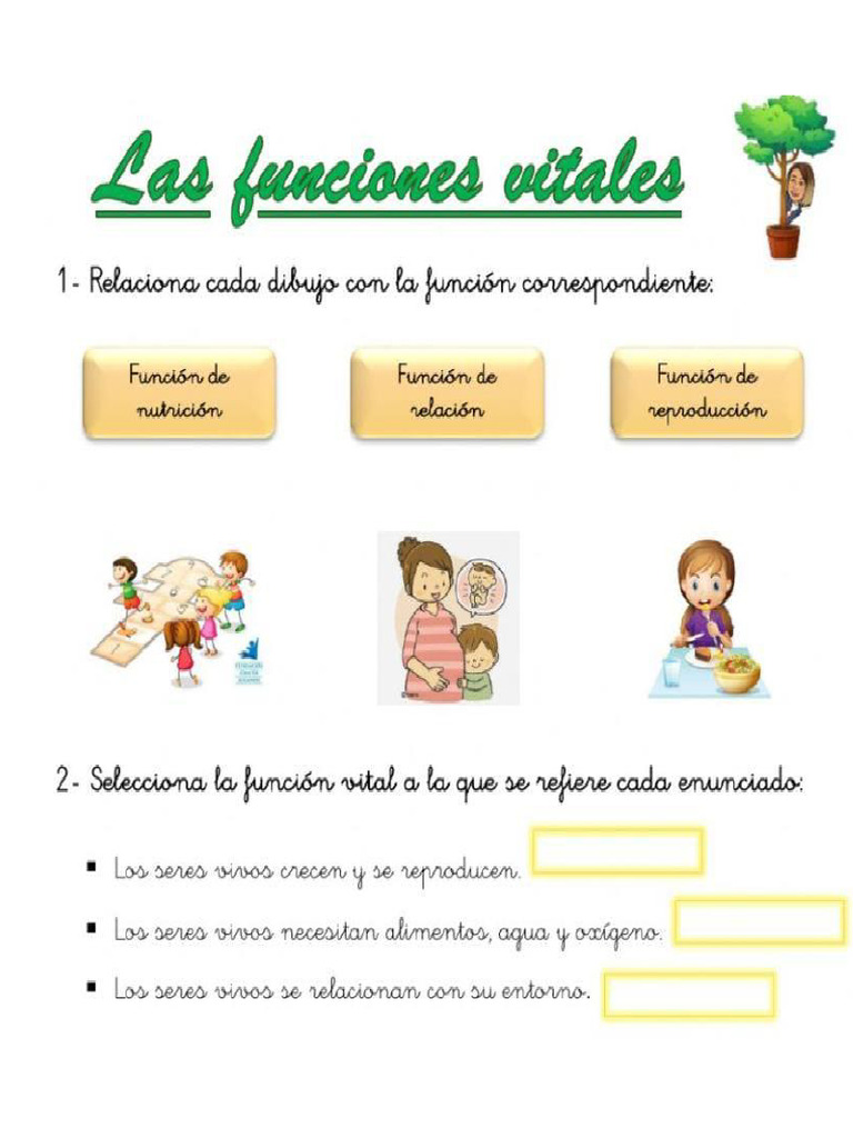 Actividades Matematica CCN Eess | PDF