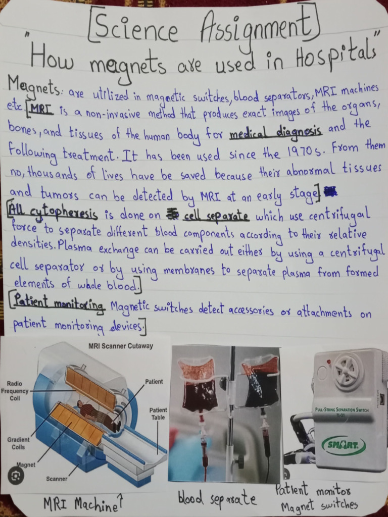 Anaya Zahra Sci Assignment 1 | PDF
