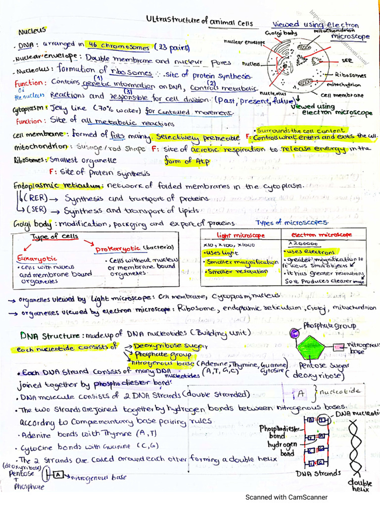 Igcse Human Biology (4hb1) 9-1 by Farha | PDF