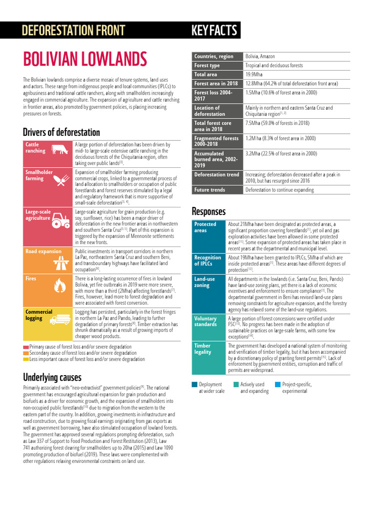 Deforestation Fronts Factsheet Bolivian Lowlands | PDF | Deforestation ...