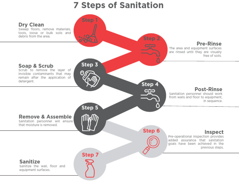 7 Steps for Effective Sanitation | PDF