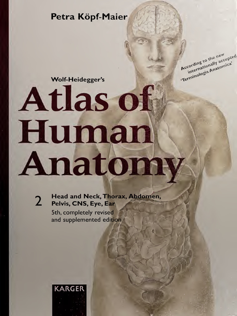 Atlas of Human Anatomy 2 5nbsped 3805568533 Compress | PDF | Anatomy ...