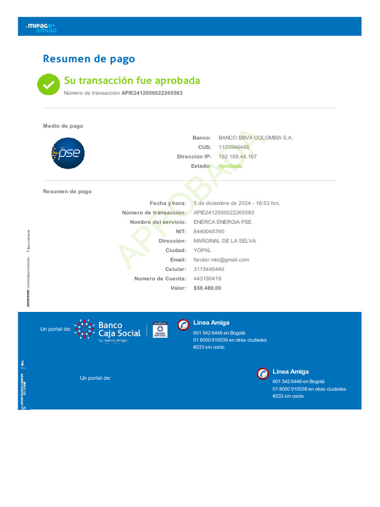 Apie2412050022265583 20241205 | PDF