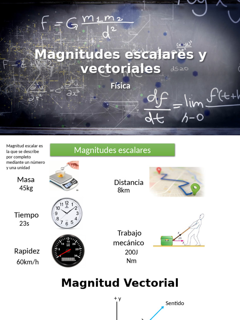 002 Magnitudes Escalares y Vectoriales 2024 | PDF