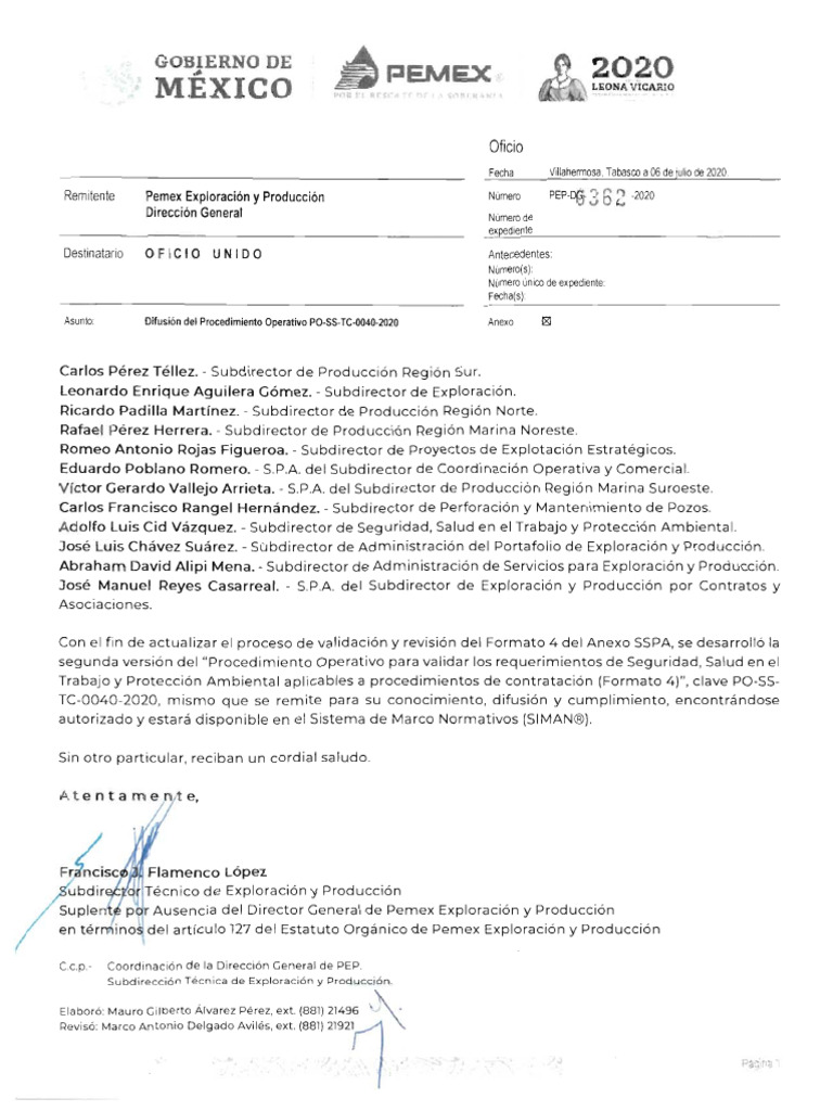 Po Ss TC 0040 2020 Validación Formato 4 | PDF