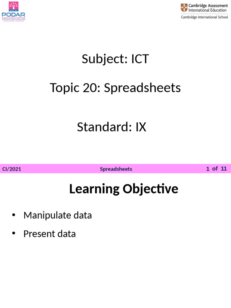 Spreadsheet Skills for Grade IX | PDF
