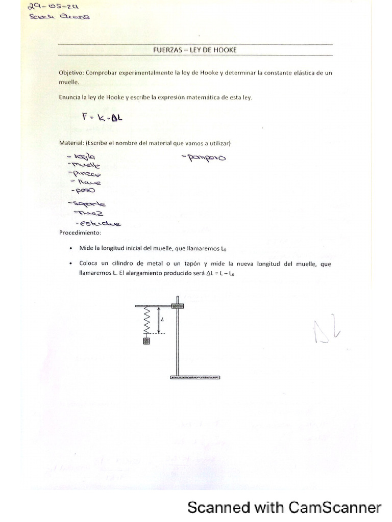 Saraholiveros Practicas | PDF