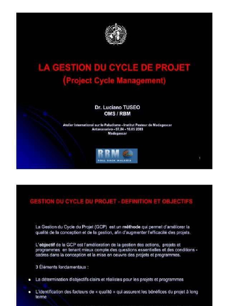 La Gestion Du Cycle de Projet | PDF