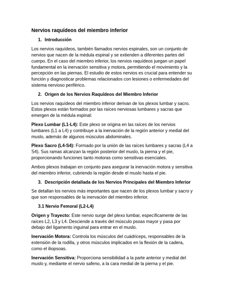 Nervios Raquídeos en Piernas | PDF | Nervio | Sistema nervioso