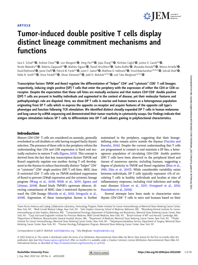 Tumor-Induced Double Positive T Cells Display Distinct Lineage Commitment Mechanisms and ...