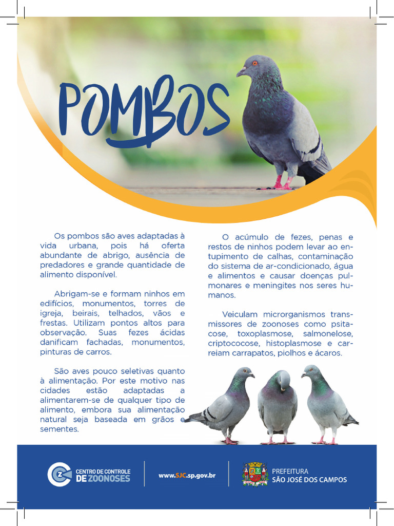 Pombos | PDF