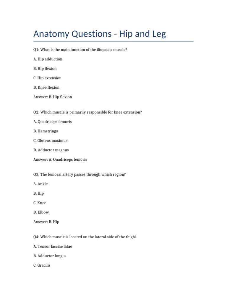 Anatomy Hip Leg Questions | PDF