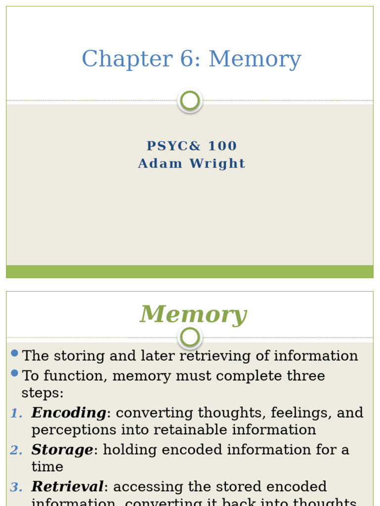 Chapter 6 - Memory | PDF | Memory | Priming (Psychology)