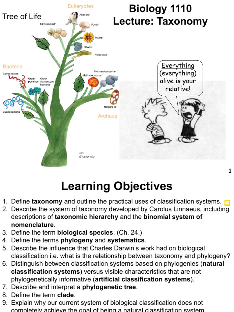 3lecture Taxonomy Lesson 4 Jan 17 | PDF | Taxonomy (Biology ...