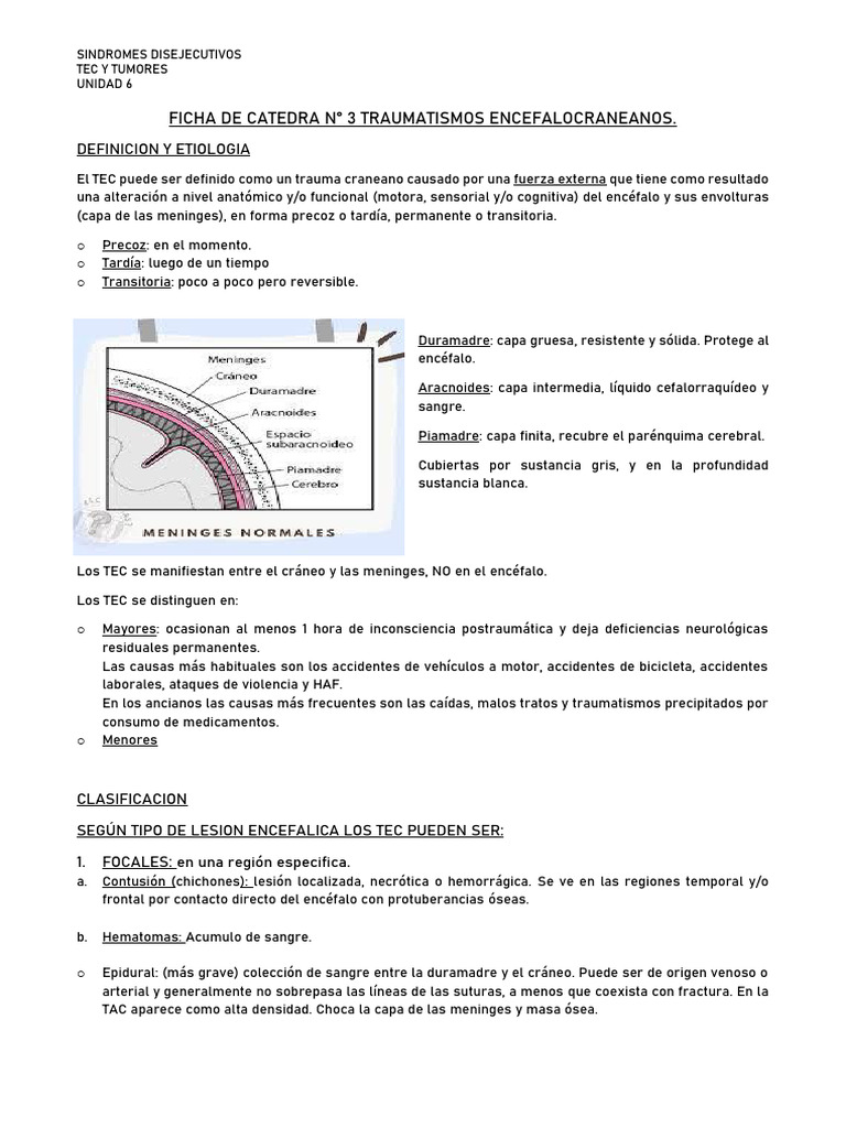 U6 TEC NEUROpatologia FINAL | PDF | Cerebro | Cráneo