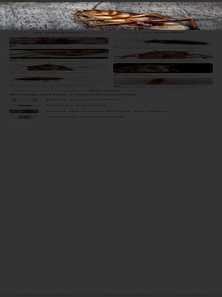 Cucaracha Fea - Buscar Con Google | PDF