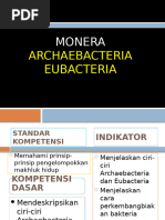 Macam Macam Bakteri | PDF
