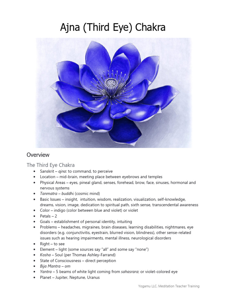 Ajna Chakra | PDF | Chakra | Meditation