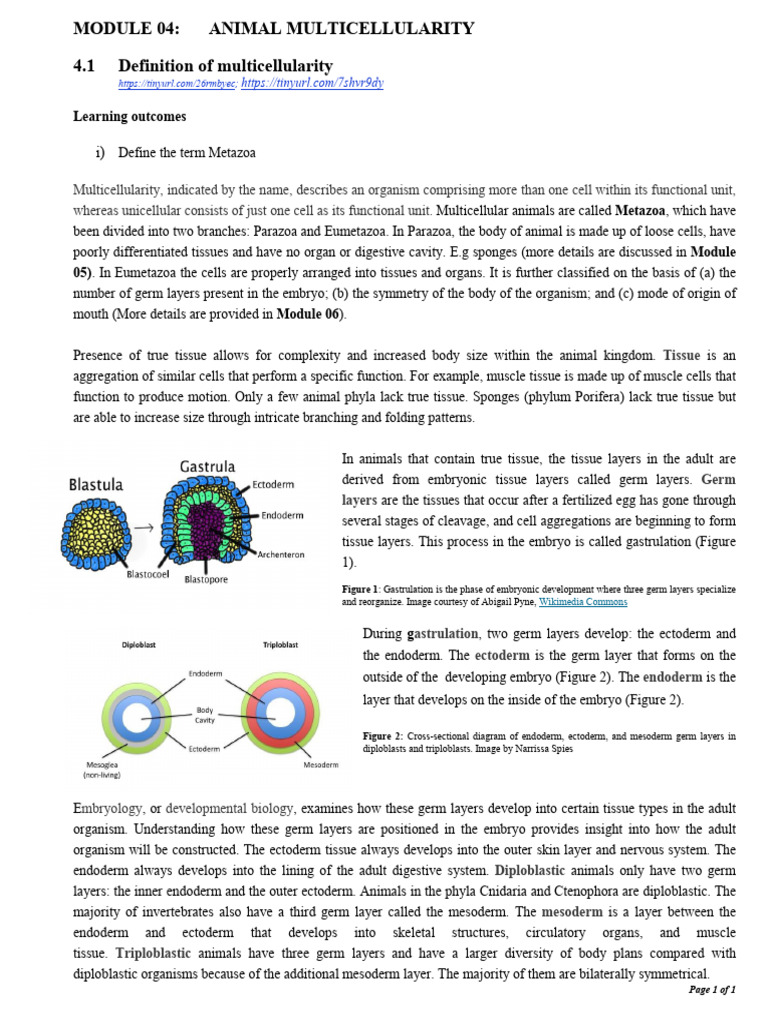 SZL 111 - Module 04 Lecture Notes - Section 4.1 - Definition of ...