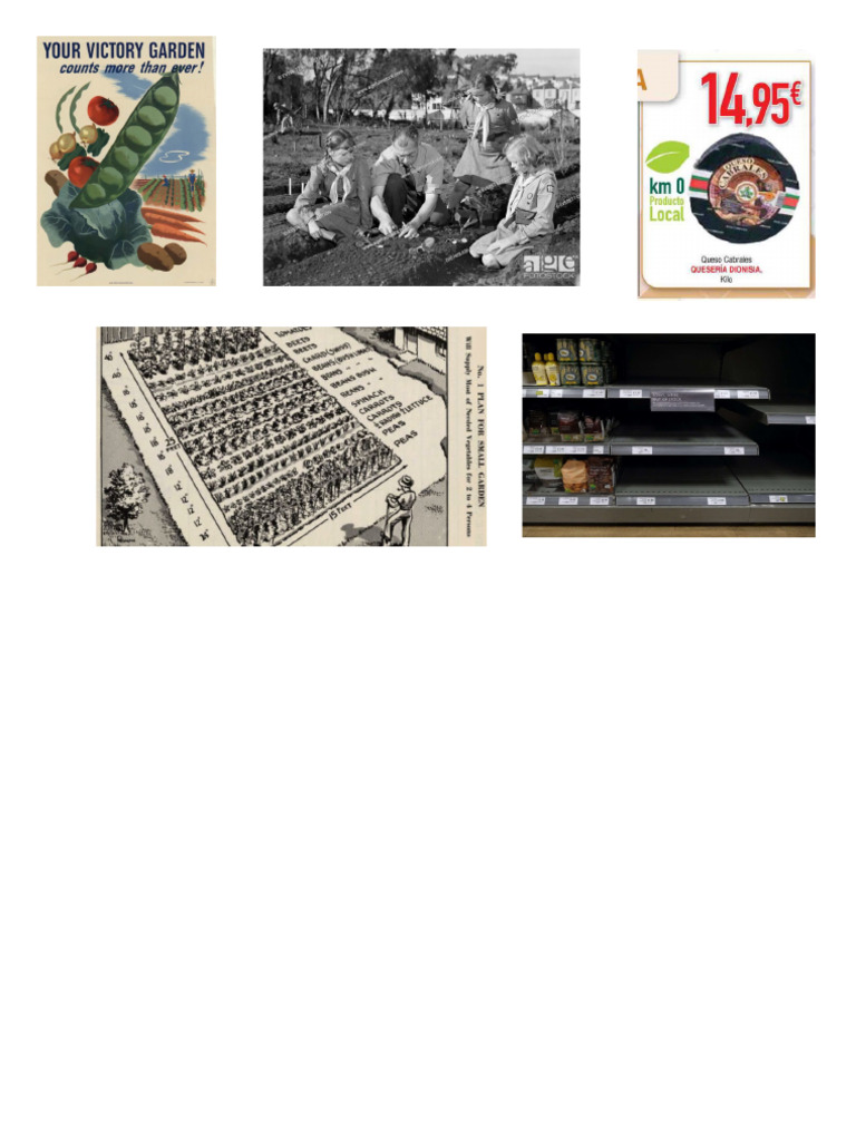 Victory Garden | PDF