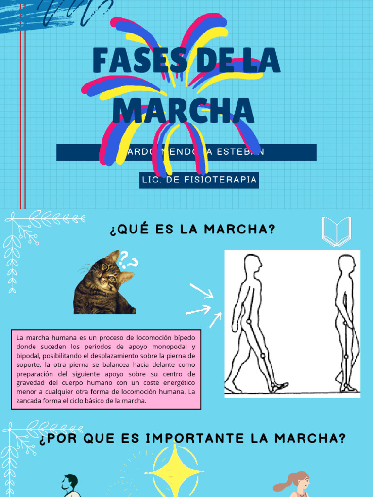 Fases de La Marcha | PDF | Pie | Rodilla