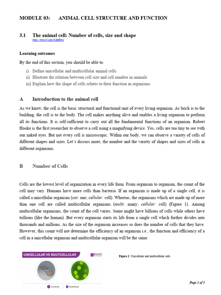 SZL 111 - Module 03 Lecture Notes - Section 3.1 - Definition - Size ...