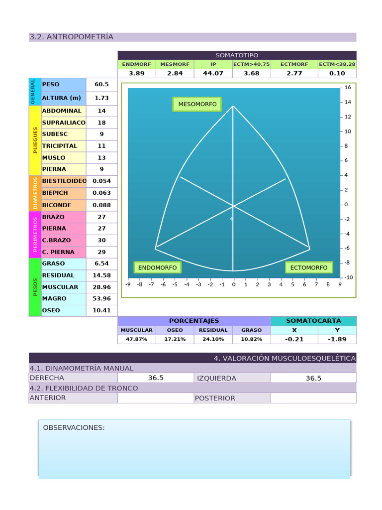 SOMATOCARTA Isma 2 | PDF