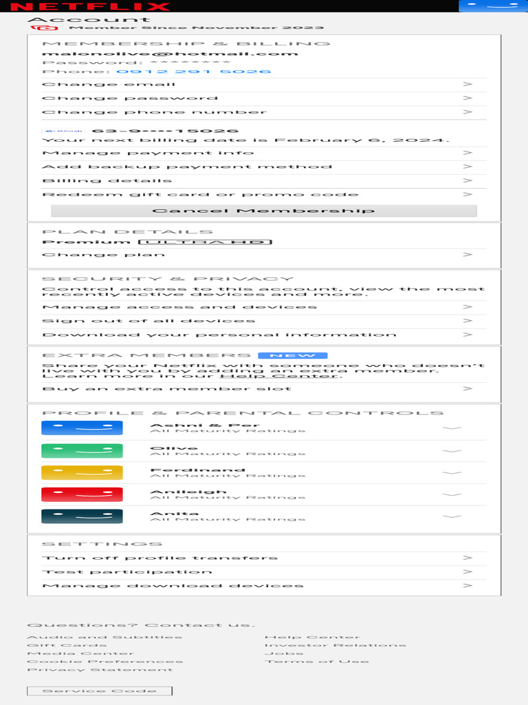 Account Settings - Netflix | PDF
