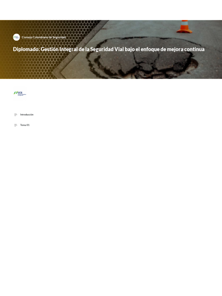 Análisis Del Riesgo Por Actor Vial | PDF | Riesgo | Peatonal