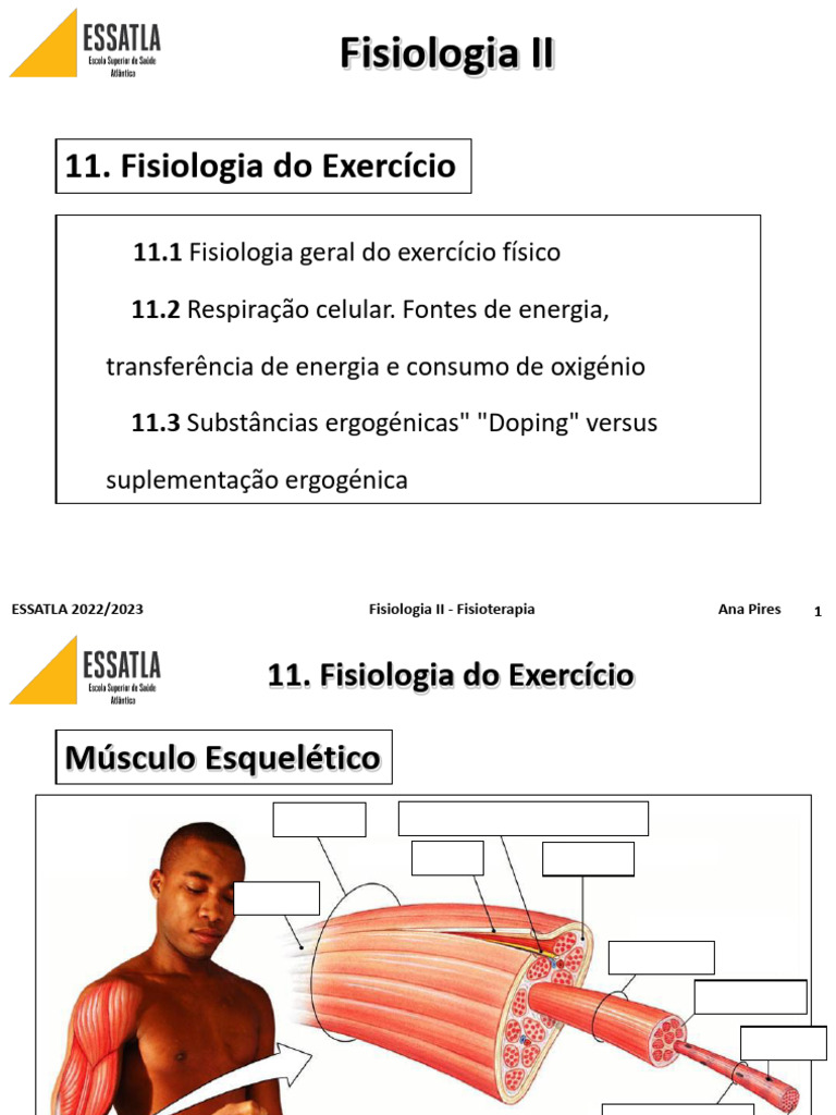 Fisiologia Do ExercÃ Cio | PDF | Glicolise | Metabolismo