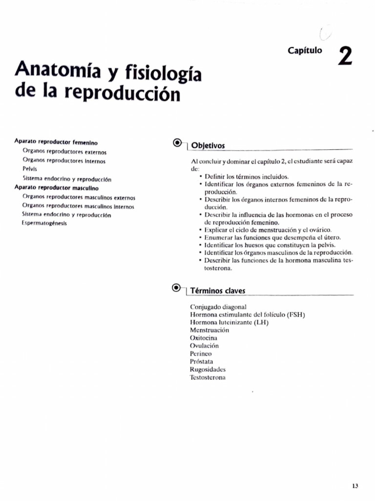 Anatomia de La Fisiologia y de La Reproduccion | PDF | Labios | Reproducción humana