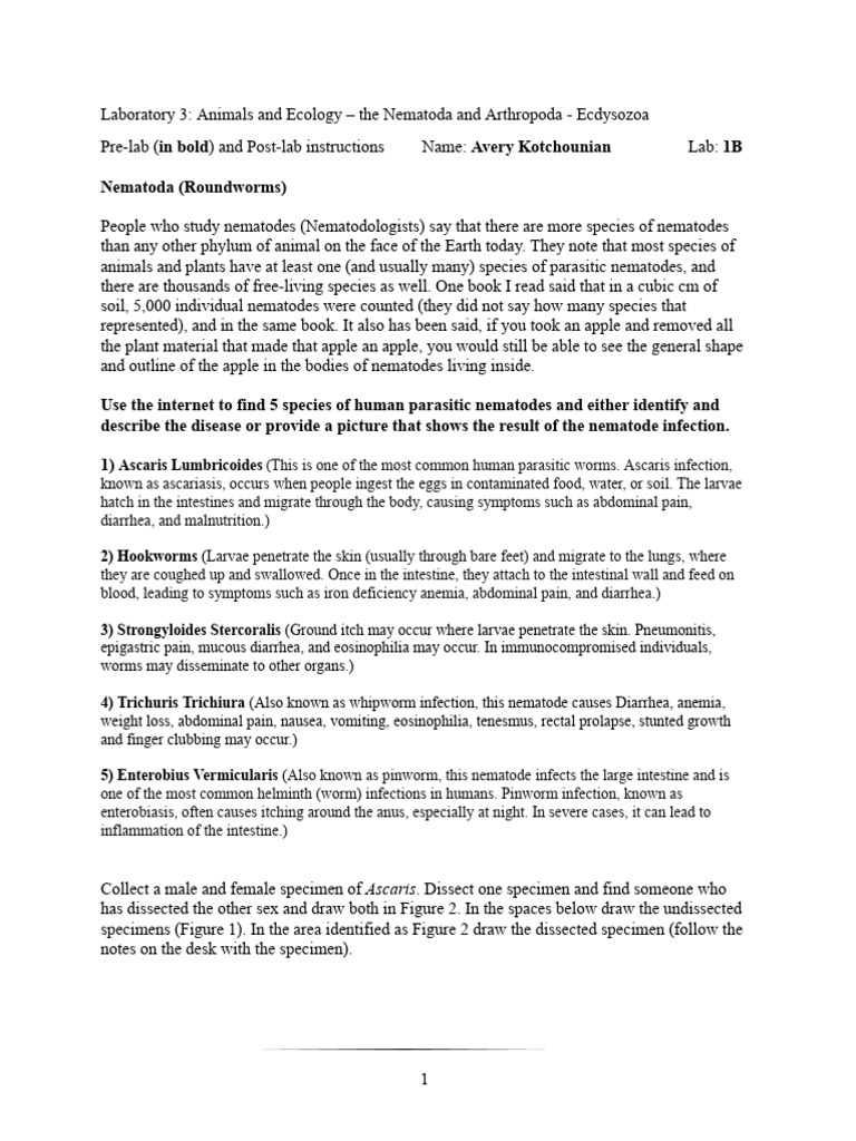 Nematodes and Arthropods Lab Guide | PDF | Nematode
