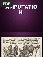 PPAM Aid: A Guide for Amputees | PDF | Amputation | Prosthesis