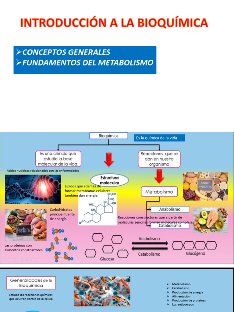 Introduccion A La Bioquimica | PDF