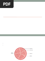 Clinical Protocol For Flexor Tendon Early Mobilization - Modified Duran ...