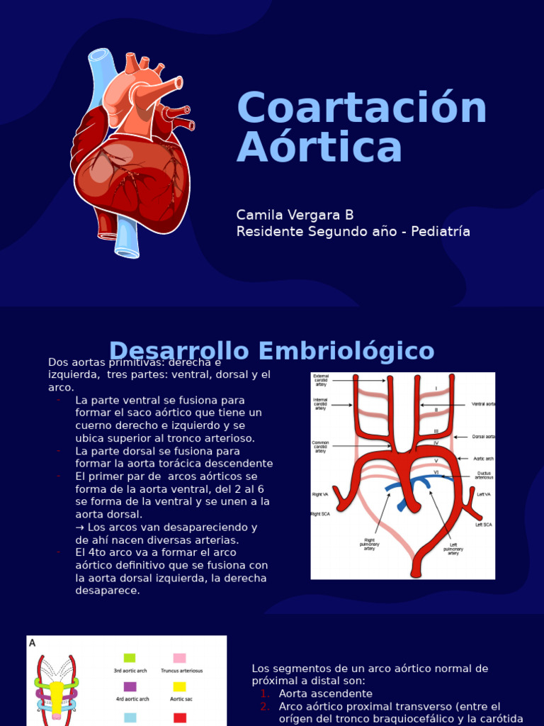 Coartación de La Aorta | PDF | Aorta | Corazón