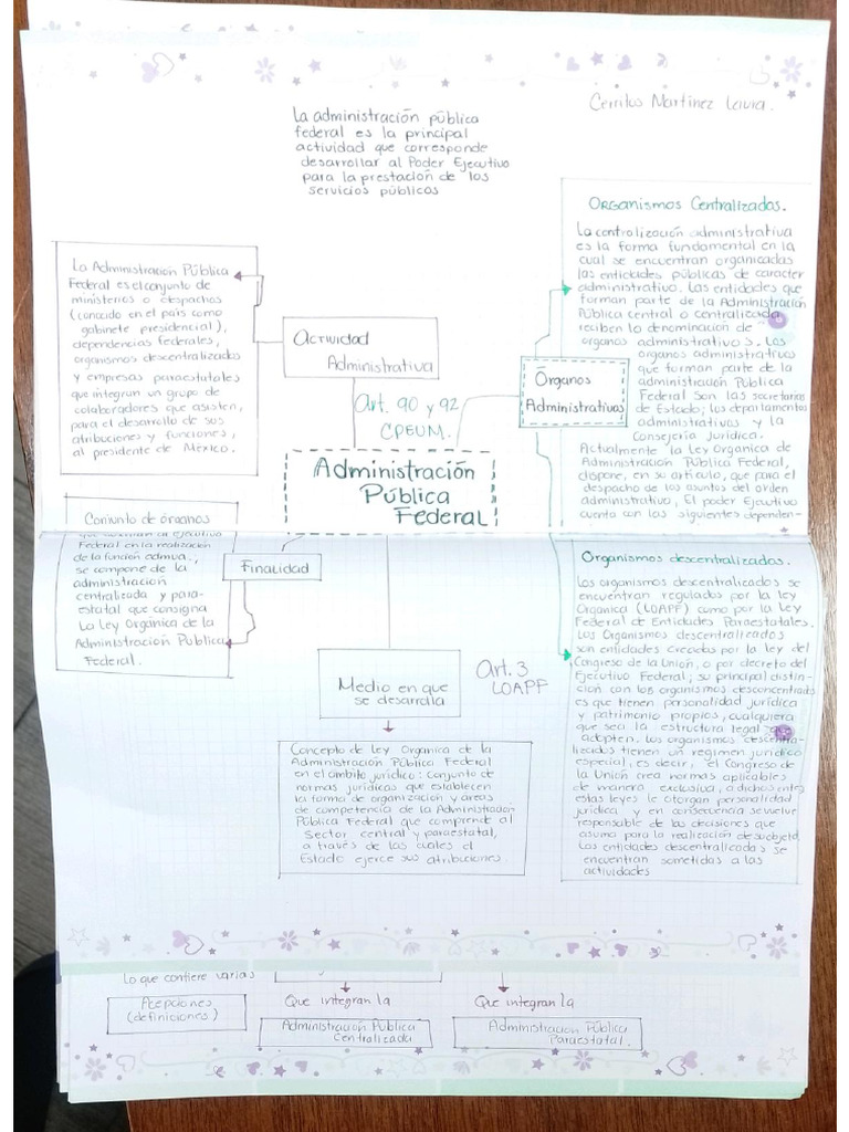 Mapas Mentales LOAPF | PDF