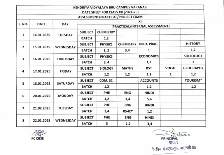 CBSE Practical Schedule 2025 | PDF | Schools | Educational Assessment And Evaluation