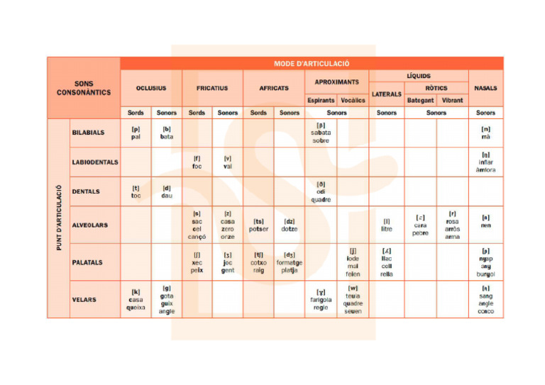 Quadre de Fonetica | PDF