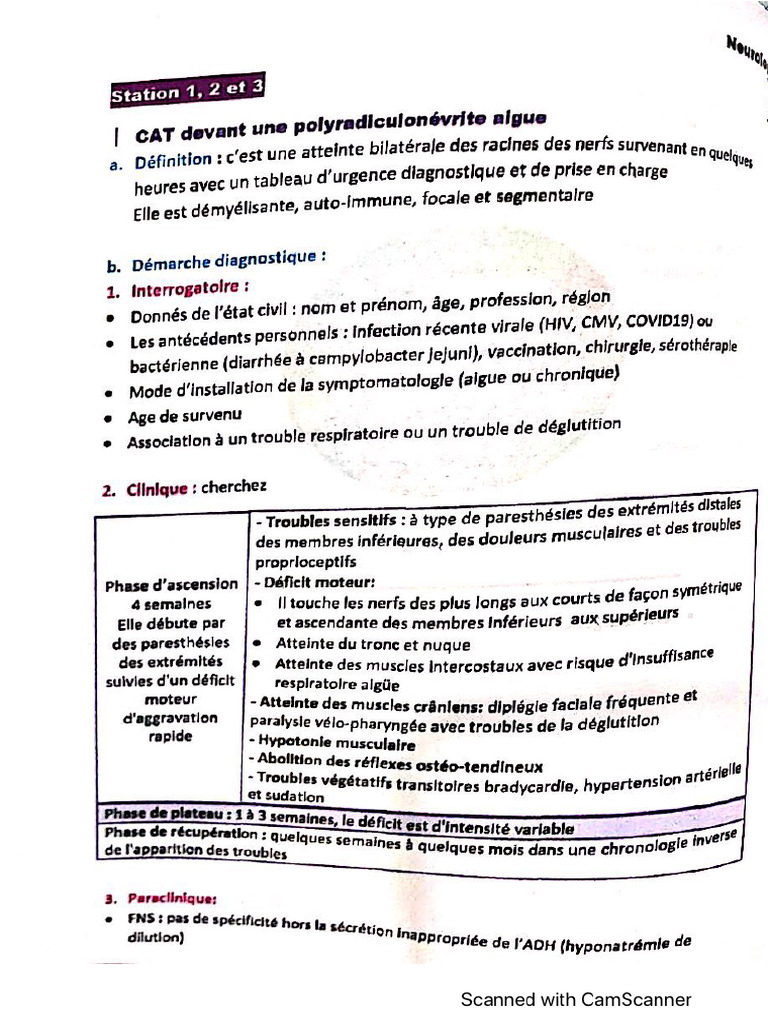 CAT Neuro Sebihi | PDF