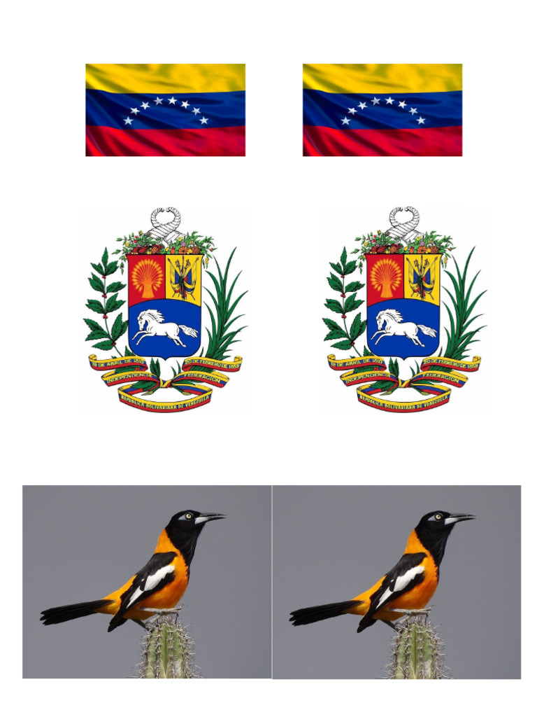 Dibujos Simbolos Patrios | PDF